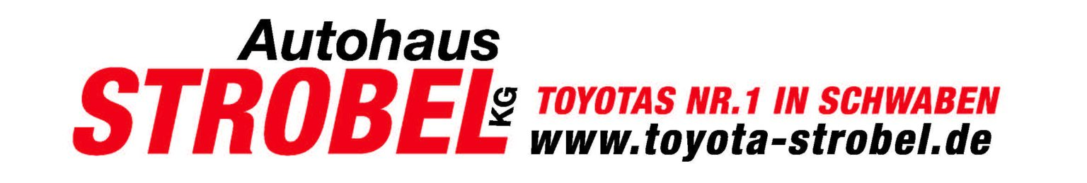 Strobel_Logo_2018_final_DRUCK – InfoSchau Friedberg